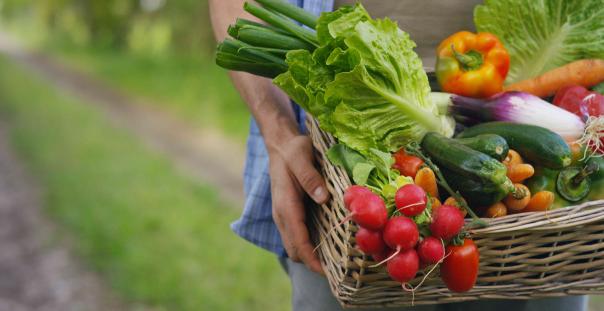 NHS Supply Chain launches new fresh food and food-to-go framework ...