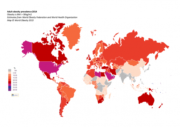 2.7 billion adults worldwide will be overweight by 2025 - World Obesity ...